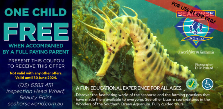 The Wonders of Seahorse World - LetsGoKids