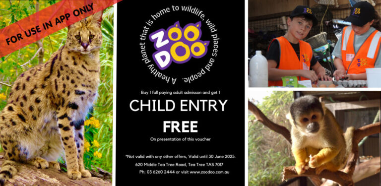 Zoodoo Zoo - LetsGoKids