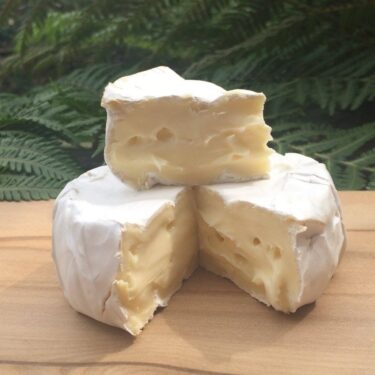 The Wicked Cheese Company - LetsGoKids