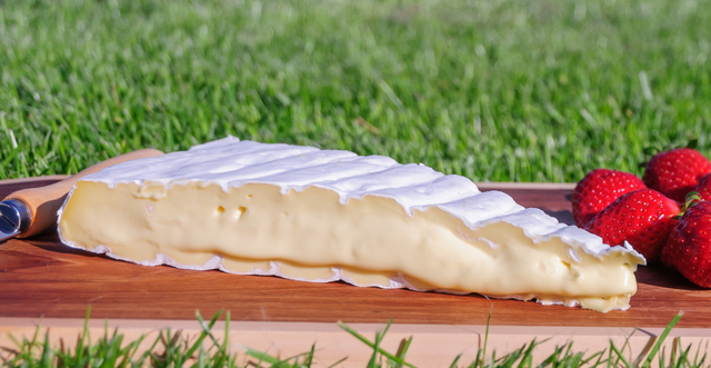 Wicked Cheese - LetsGoKids