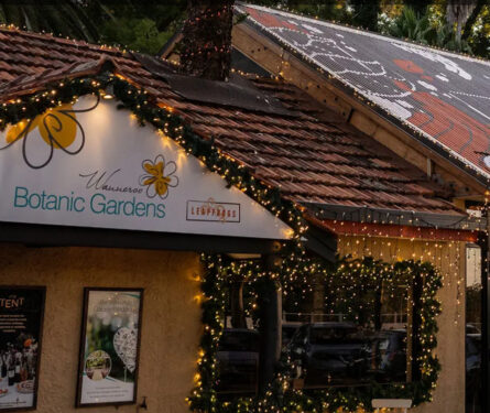 Leapfrogs Eatery Wanneroo - LetsGoKids