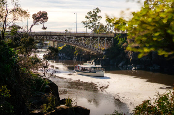 Tamar River Cruises - LetsGoKids