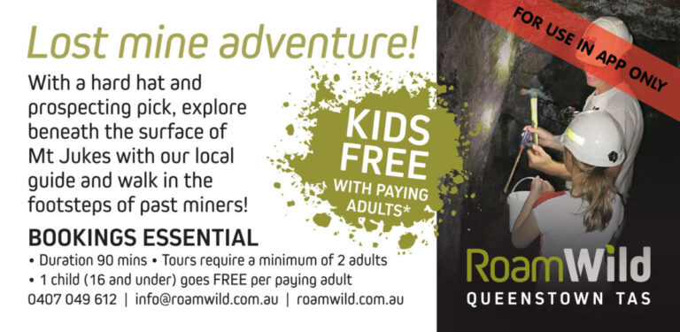 Roam Wild - LetsGoKids