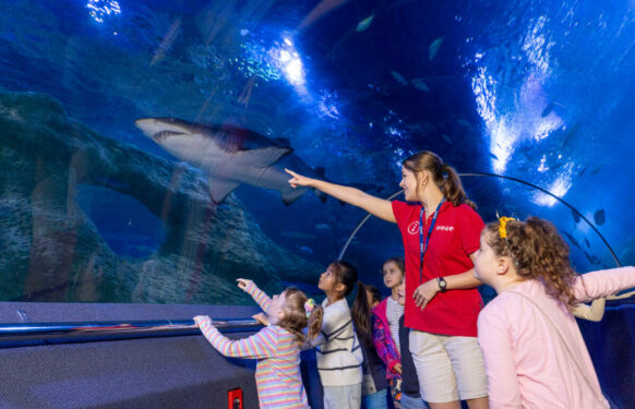 AQWA The Aquarium of Western Australia - LetsGoKids