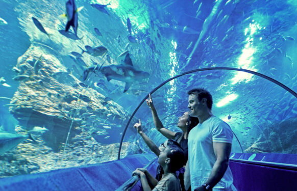 AQWA The Aquarium of Western Australia - LetsGoKids